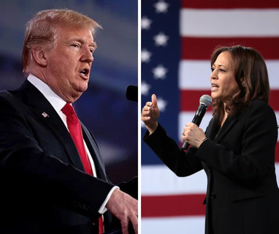August 2024 Omnibus: Harris Leads Trump by +5 Nationally - American ...